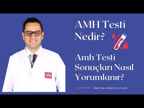 AMH (Anti Müllerian) Hormonu Nedir? AMH⌛️ neden önemlidir, kaç olmalıdır?(Yumurtalık rezervi nedir?)