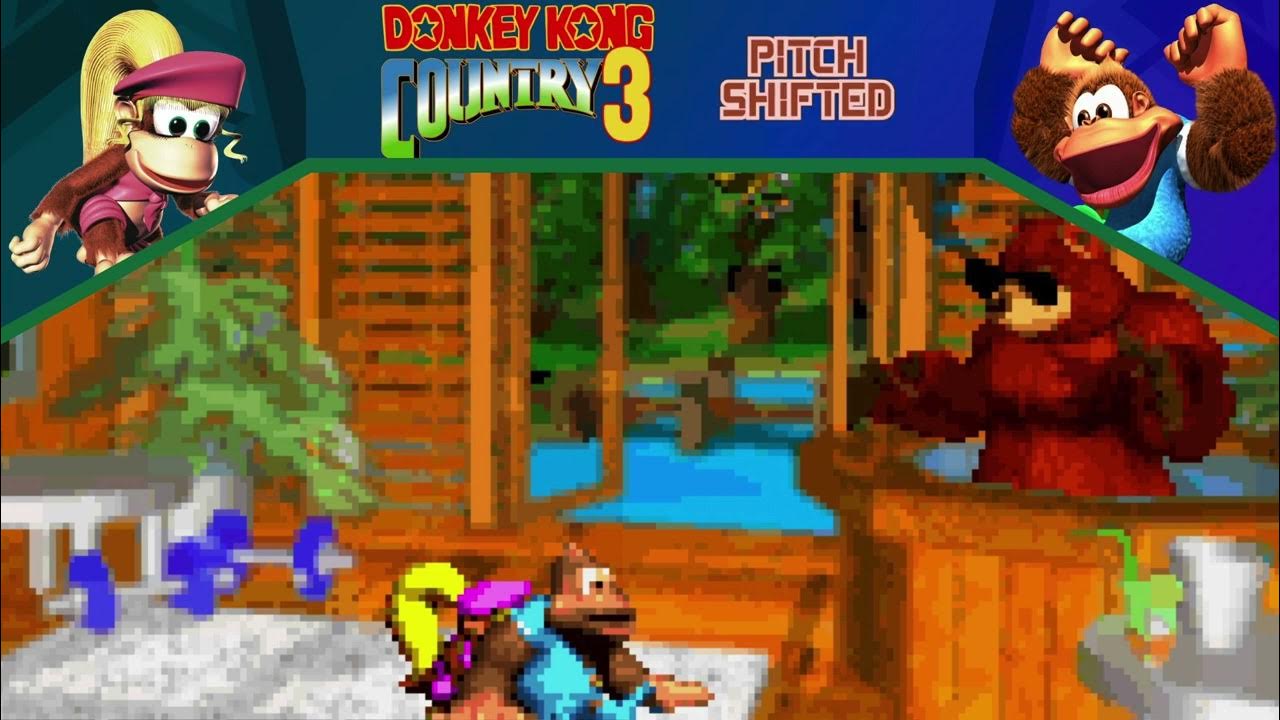 Brothers Bear & Other NPCs (Pitch Shifted) - Donkey Kong Country 3 (GBA) - YouTube
