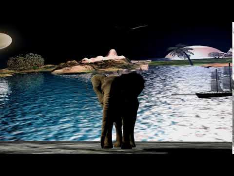Appu Chala JUNGLE || Ally Salahuddin || 9971687391