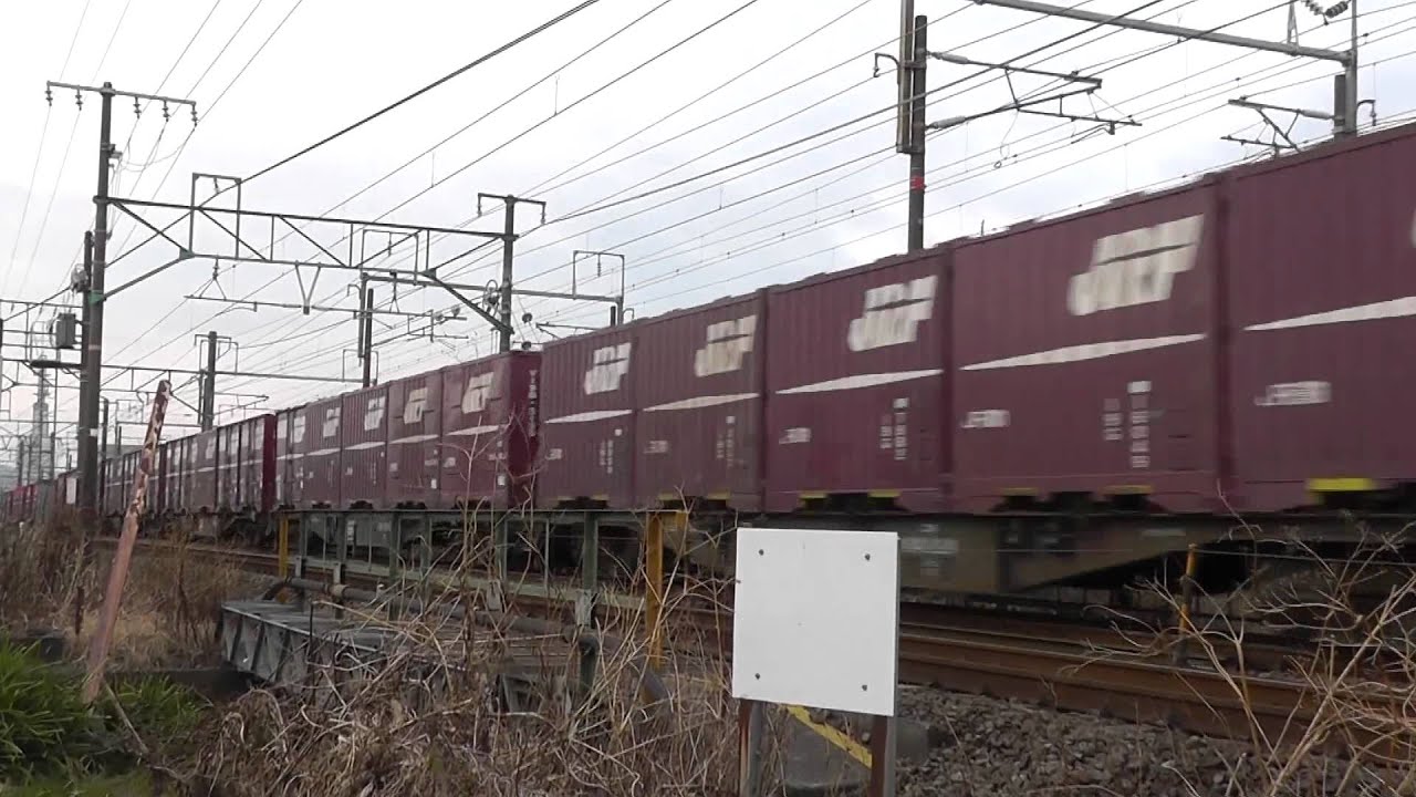 🚅 Japan Freight Train - Japan Train Videos - YouTube