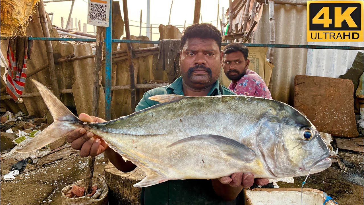 Paarai fish cutting video/Fishcuttingrs #fishcuttingrs #kasimedu #fish ...