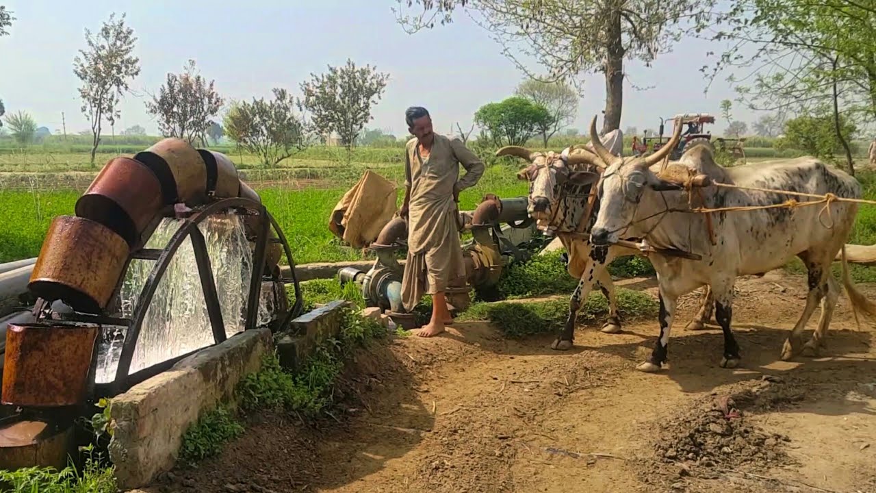 Rahat Traditional Irrigation Method | Old Technology of Persian Water Wheel - YouTube