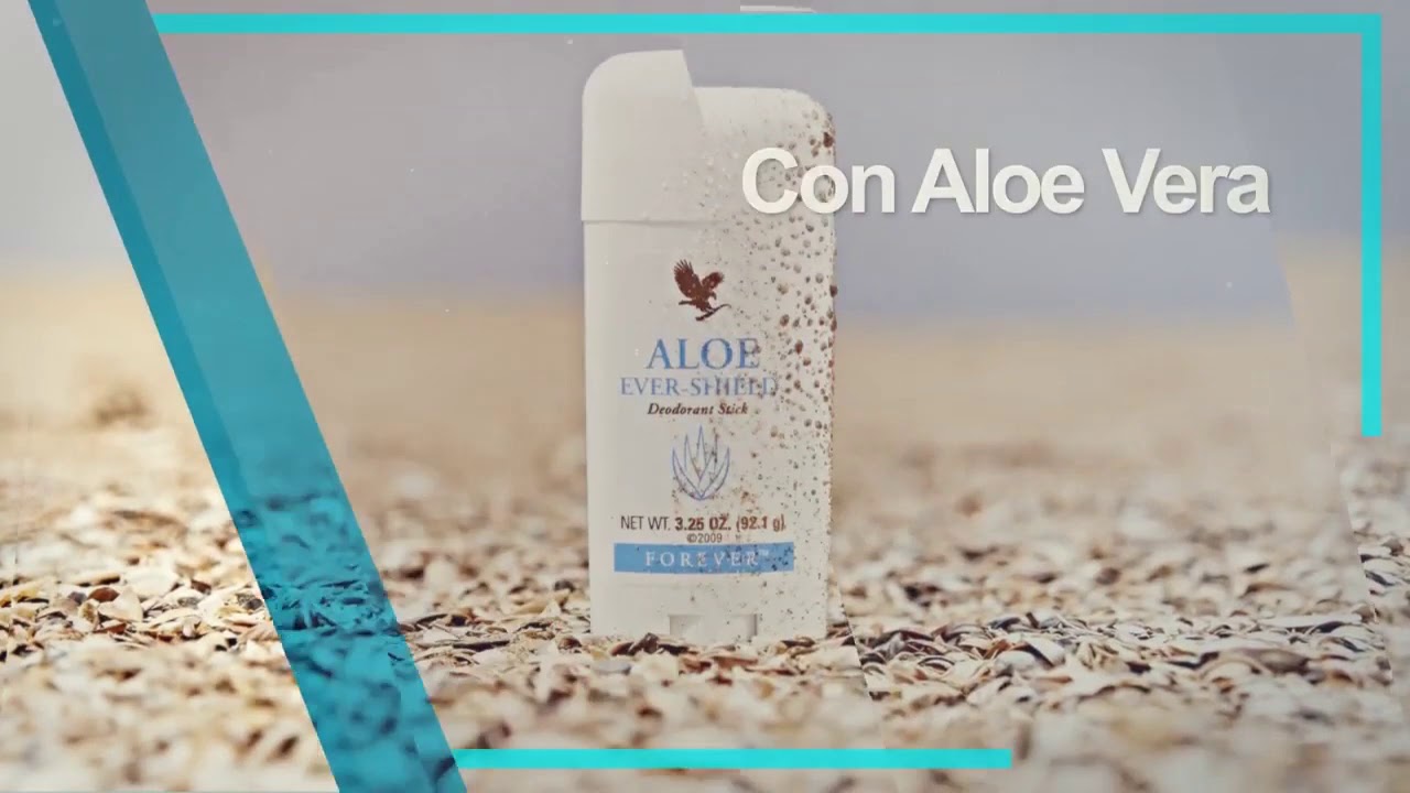 Forever Ever Shield - YouTube