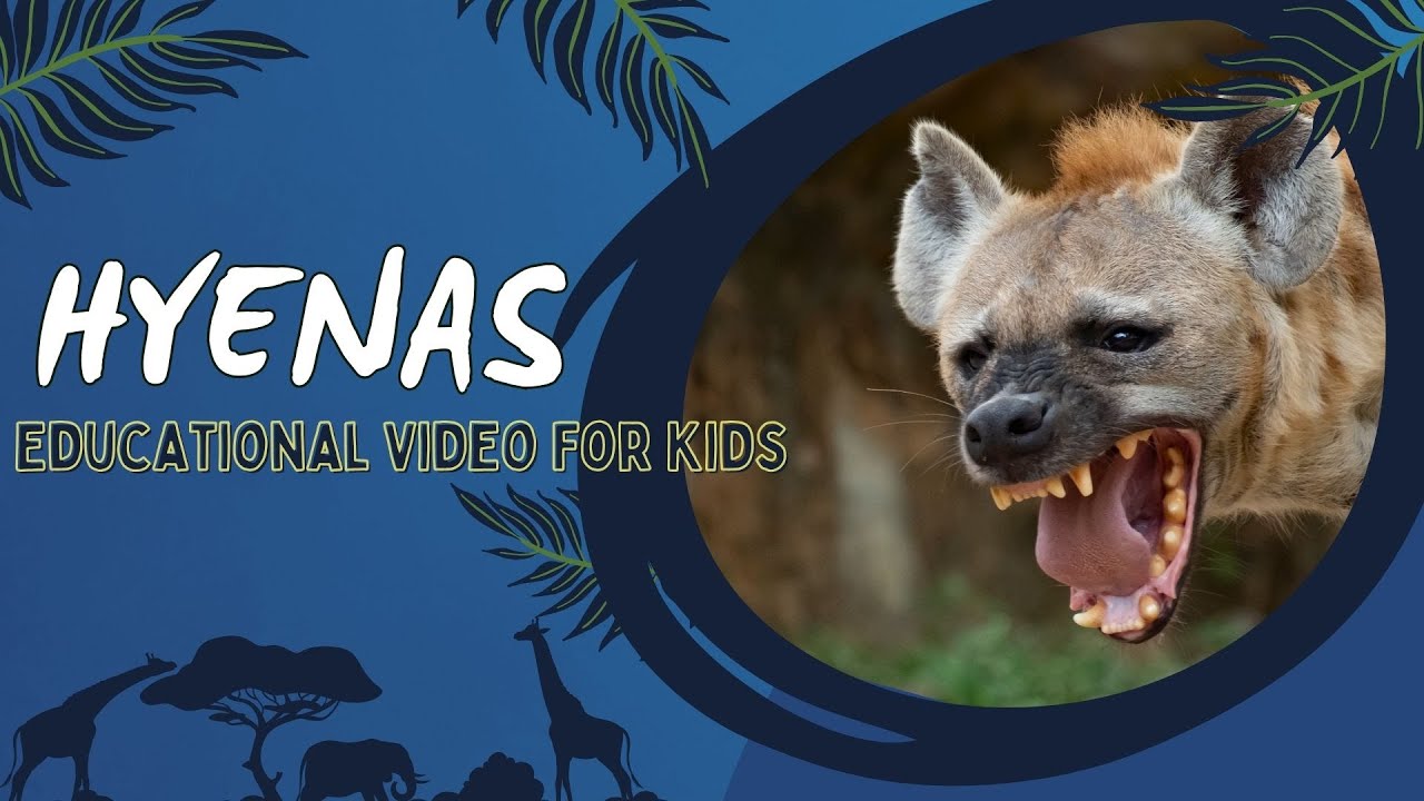 Hyenas: The Laughing Adventurers – Explore with Us! Short Educational ...