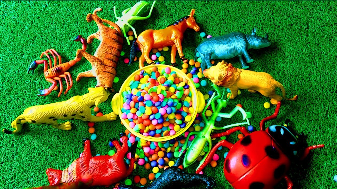 Mixing CANDY with Nursery Rhymes || Chocolate Candy For Kids - YouTube