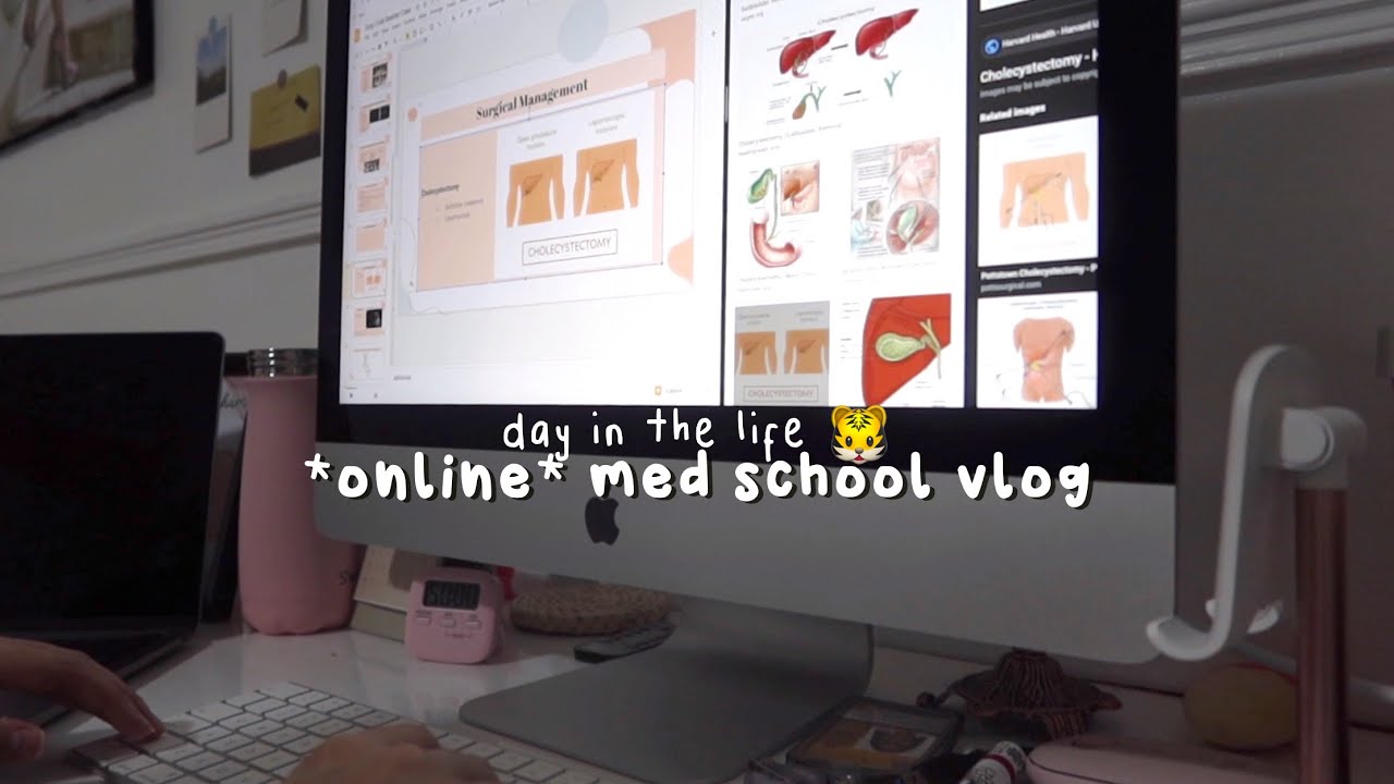 Med School Vlog: guest speaker for a premed event + day in the life 🐯 ...