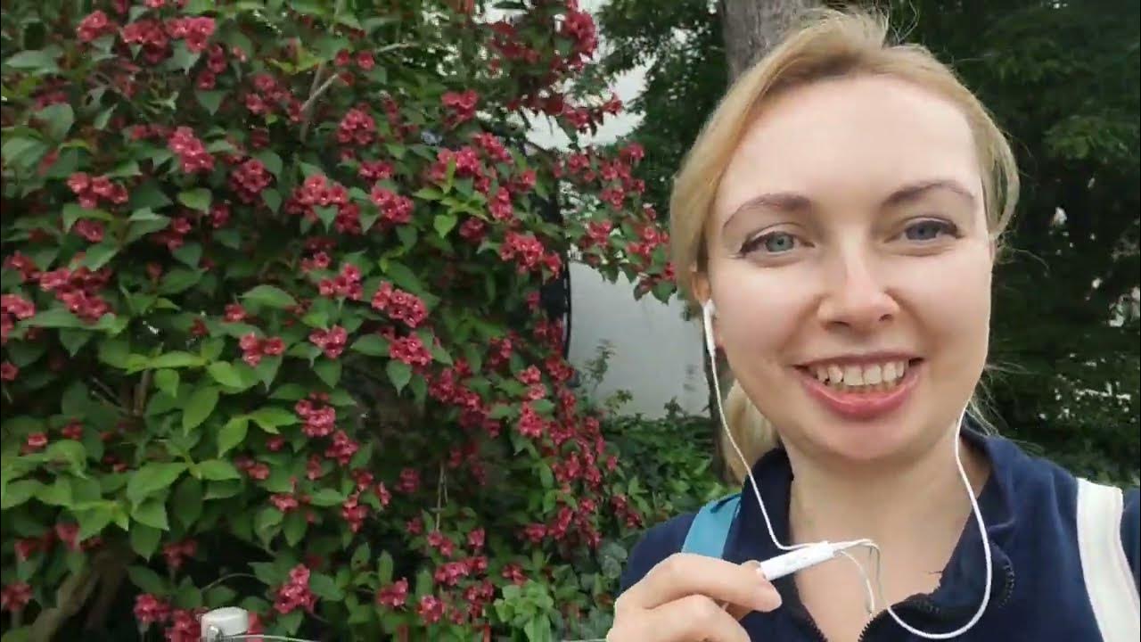Работа в Швейцарии. Будни. Удивительный случай с потерей дорогой сумки ...