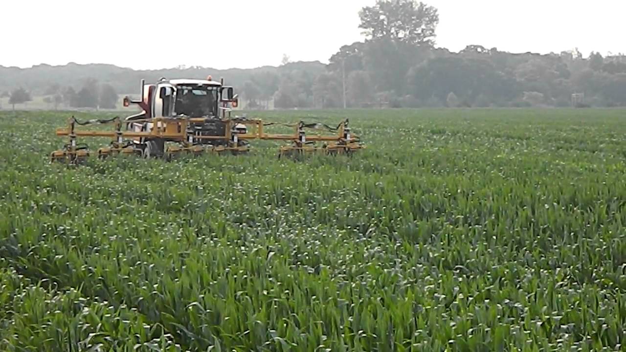 Terning Seeds Detasseling Seed Corn 2 - YouTube