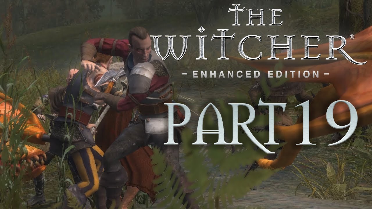 The Witcher 1 - Part 19 - Wyvern VS Salamandra! (Playthrough) - Let's ...