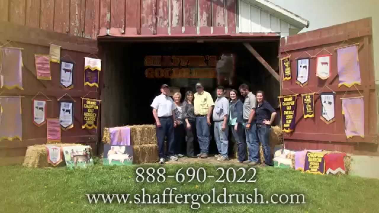 Shaffer Goldrush Commercial - YouTube