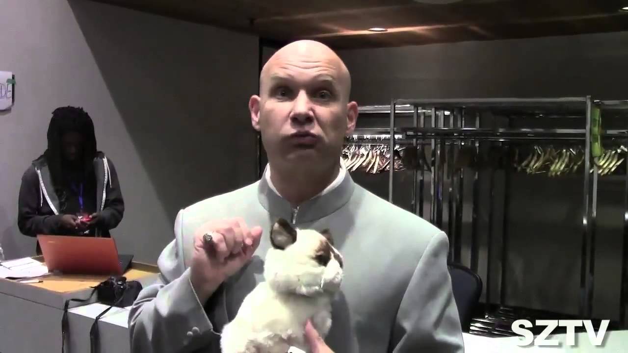 Dr Stevil and Grumpy Cat - YouTube