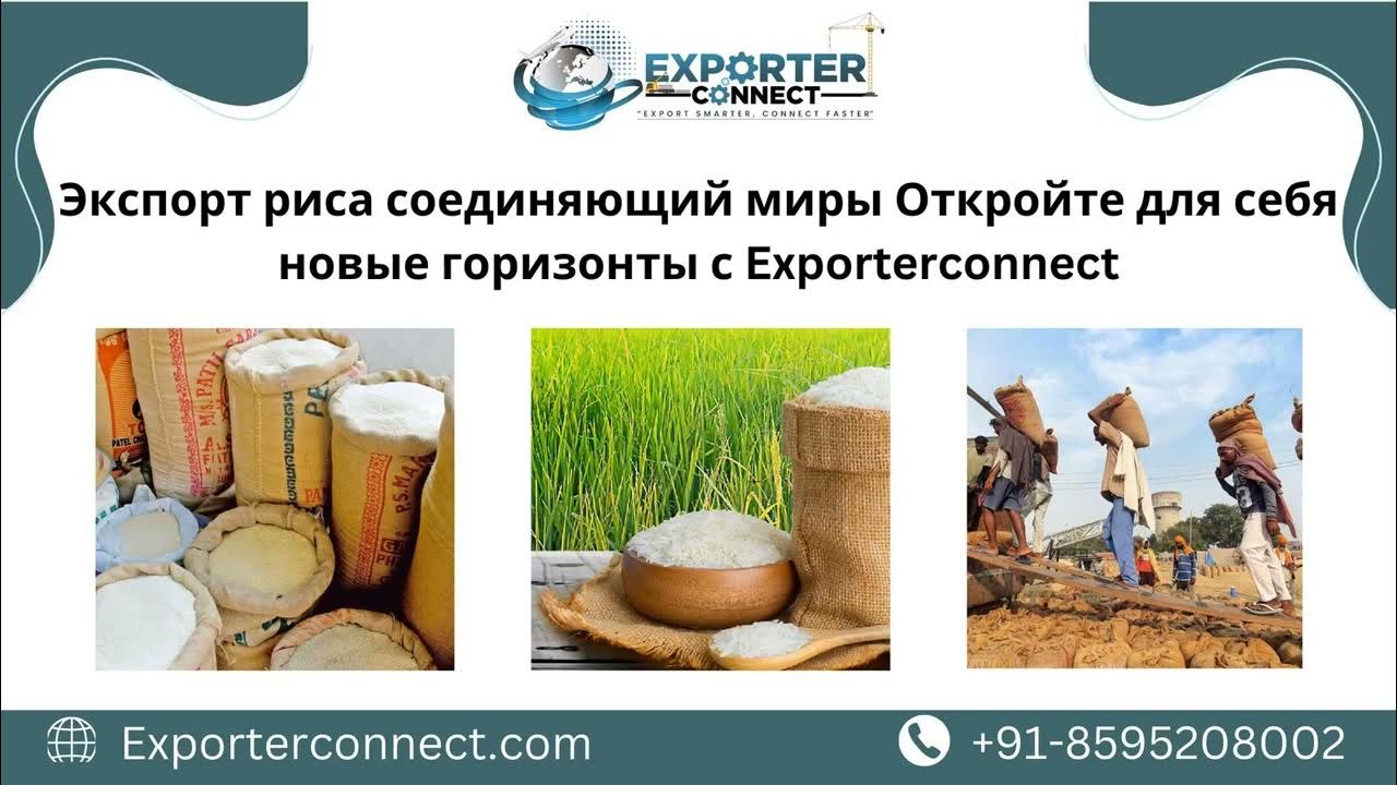 Экспортер Рис | Производитель Рис | Поставщик Рис | Крупнейший ...