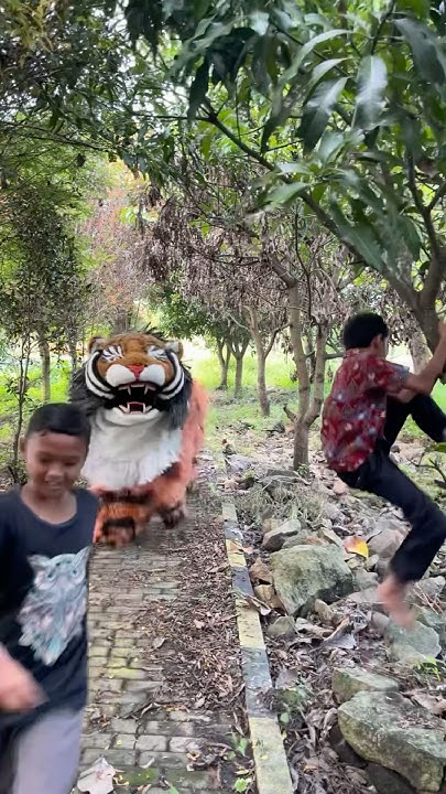 Bocil dikejar can macanan sampai naik pohon - YouTube