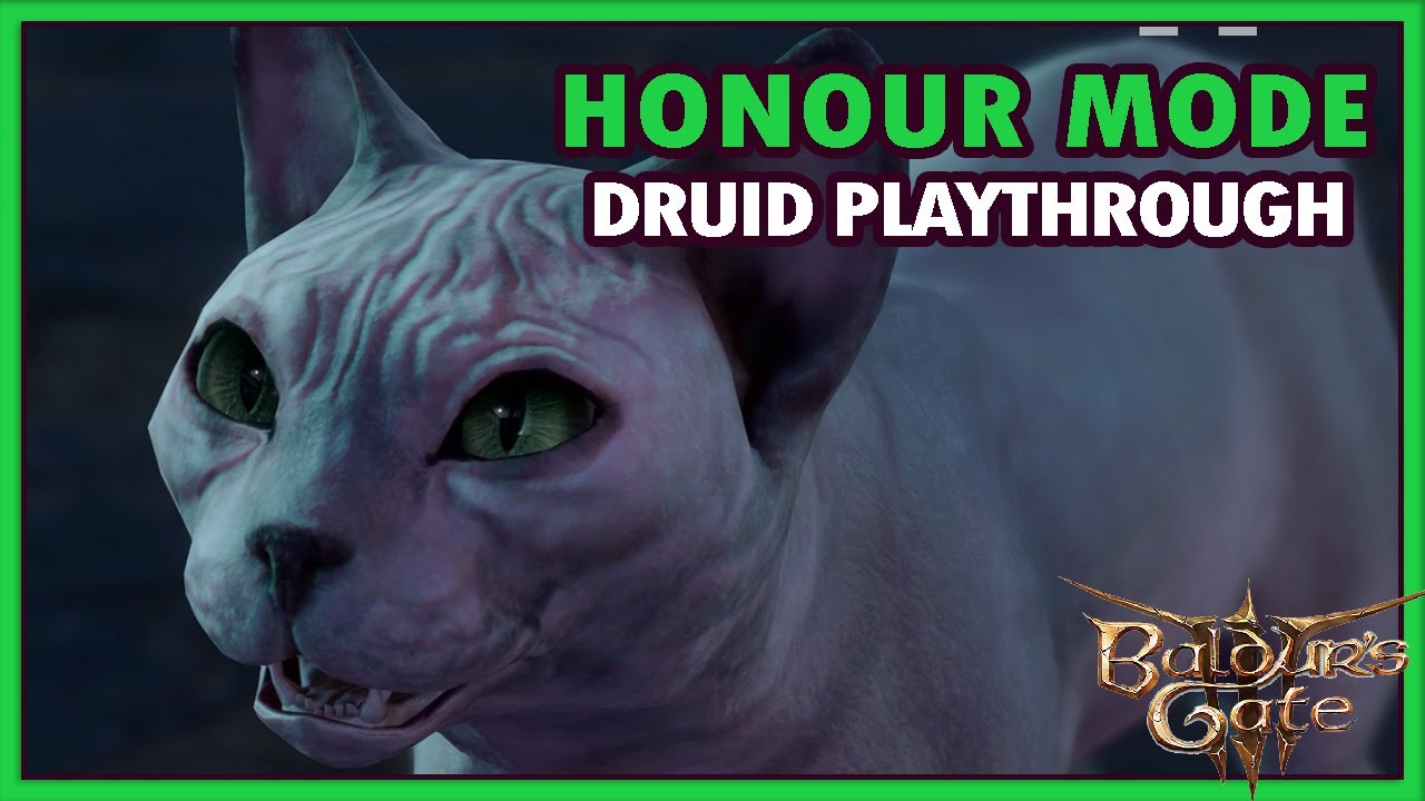 Baldurs Gate 3 Honour Mode Druid Playthrough Act 2 Part 12