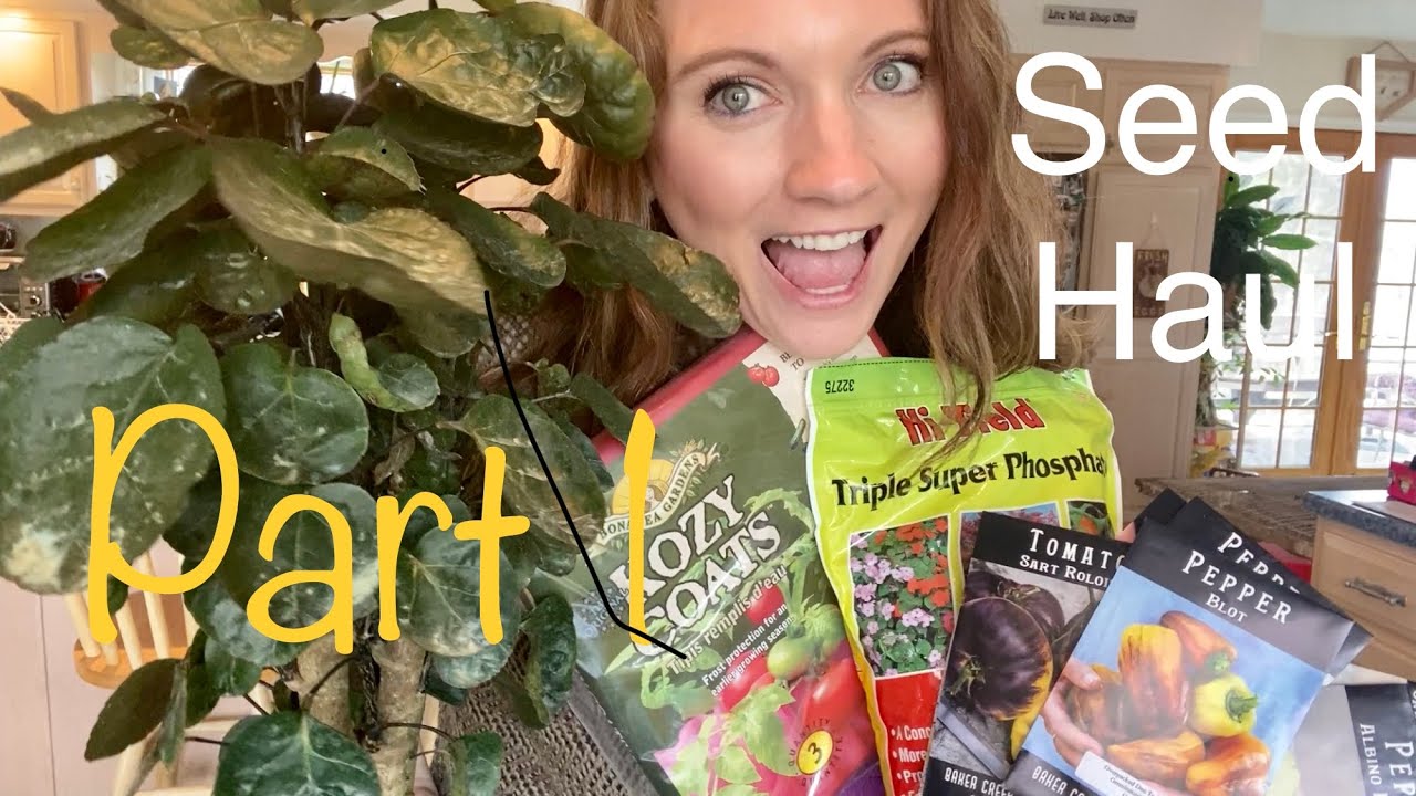 SEED HAUL #3 (part 1) - YouTube