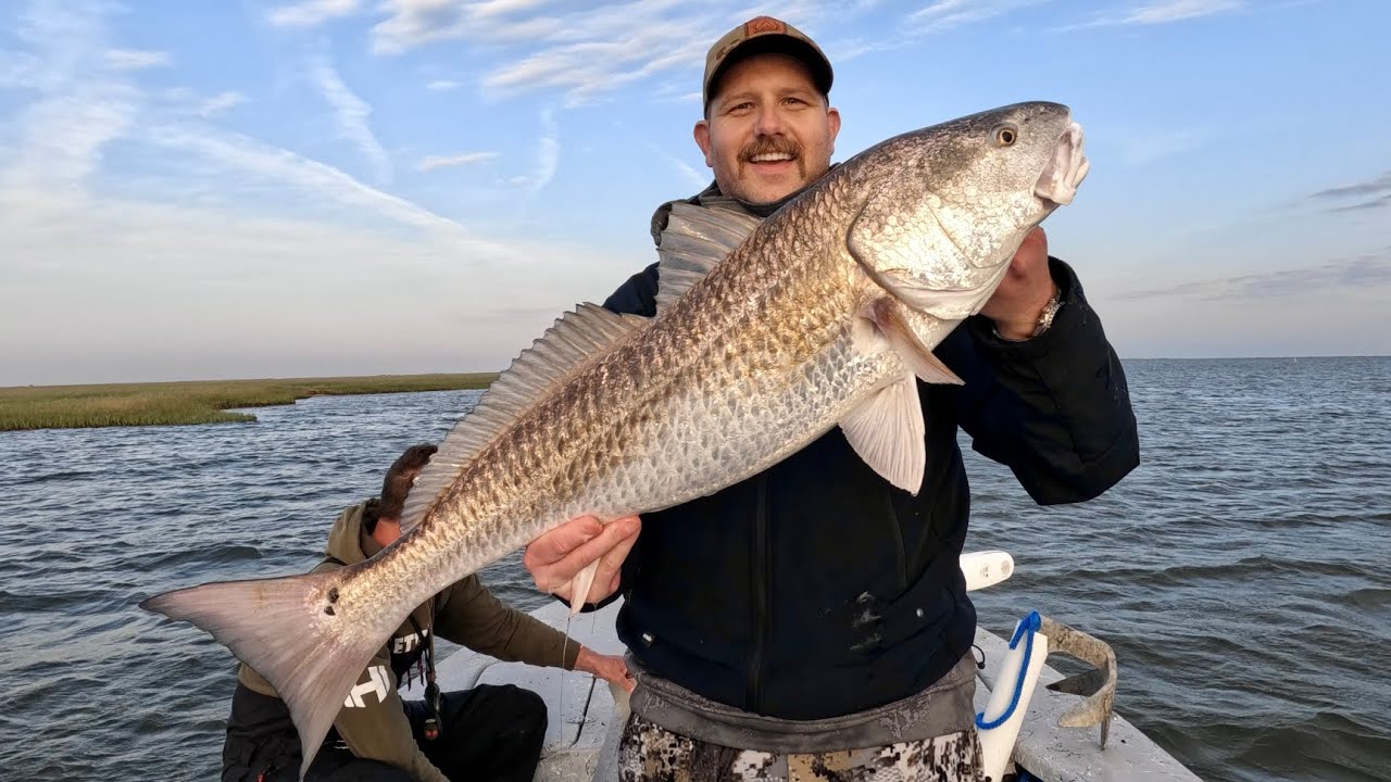 HUGE 35.5" LOUISIANA REDFISH - YouTube