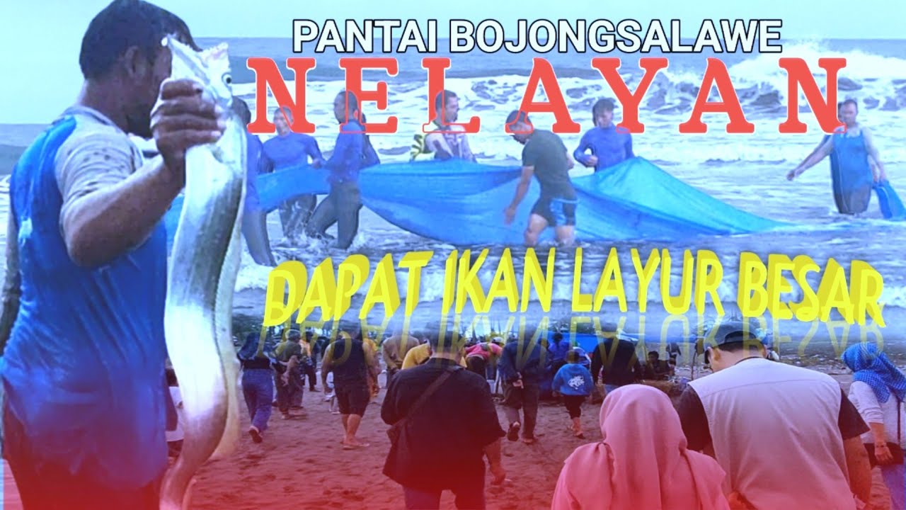 Nelayan Pantai Bojong Salawe Ini Dapat Ikan Layur Besar - YouTube