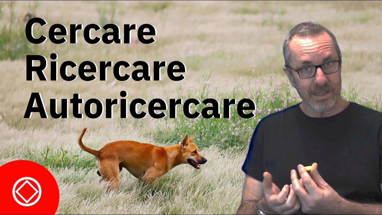 Cercare... Ricercare... Autoricercare... - YouTube