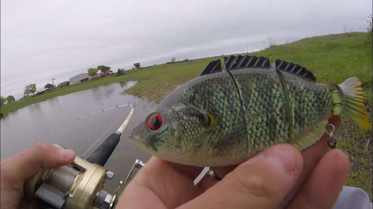 The Bite was on FIRE! Swimbait pond Bass Fishing + Stillhouse Hollow ...