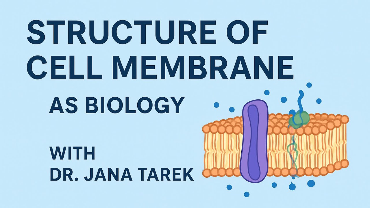 Structure of cell membrane ( chapter 4) AS biology Cambridge by Dr ...