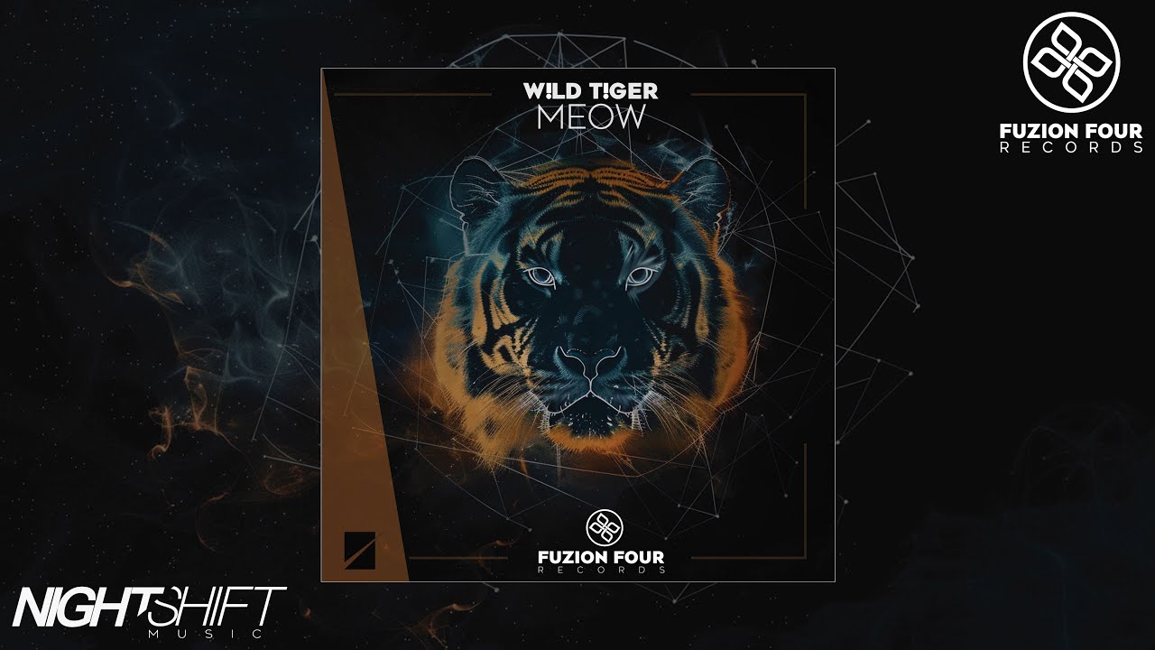 Wild Tiger - MEOW - YouTube