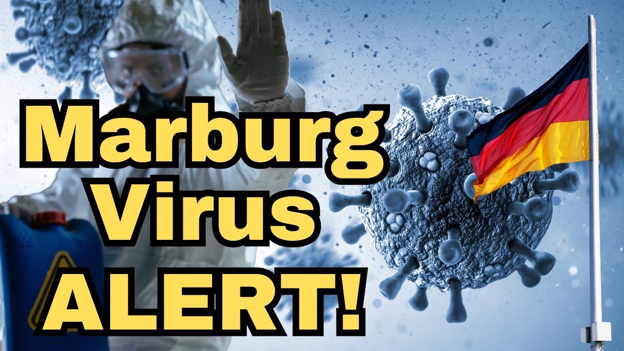 Breaking: Deadly Marburg Virus Fears in Hamburg - What You Need to Know ...