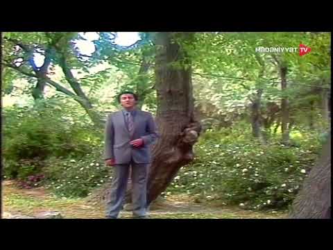 Akif İslamzadə – Neyləyim (1985)