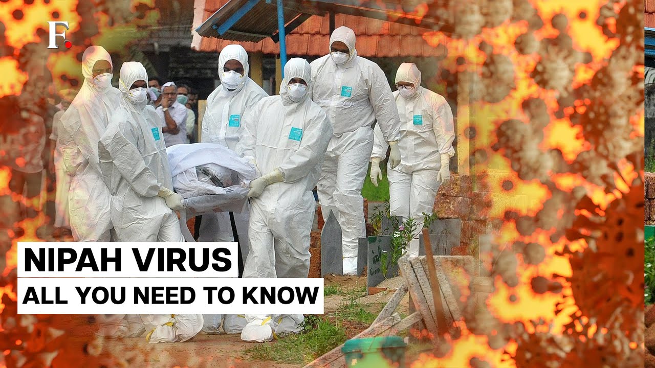 India's Kerala Witnesses Nipah Outbreak; 2 Dead, Over 700 People Tested ...