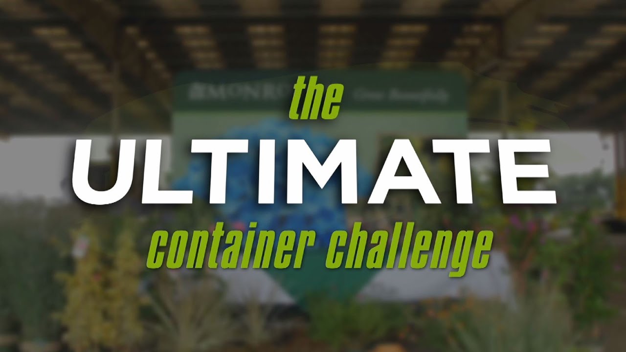 The Ultimate Container Challenge - Monrovia - YouTube