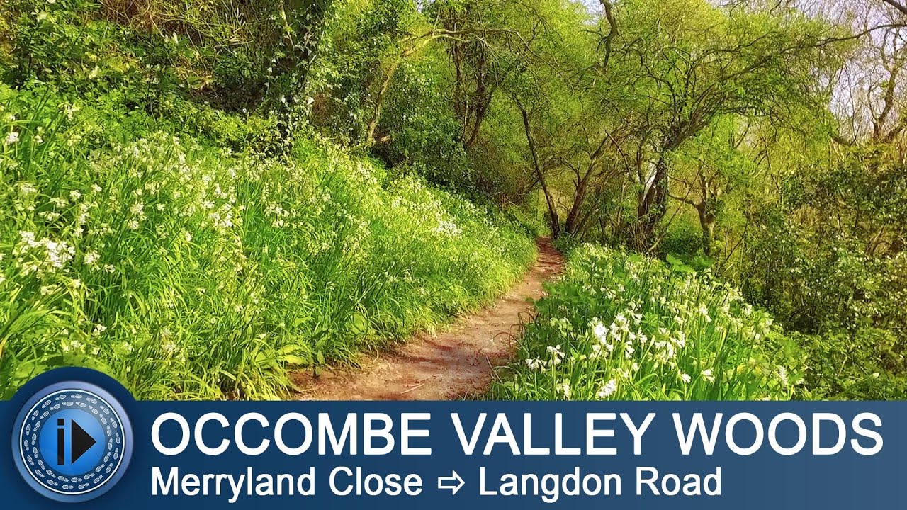 Occombe Valley Woods (Spring) - Paignton, Devon - Occombe Valley Rd to ...