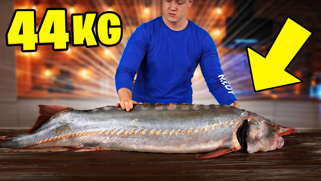 Recette d'énormes esturgeons de 44 kg | Gros Esturgeon Cuisiner et Manger par VANZAI - YouTube