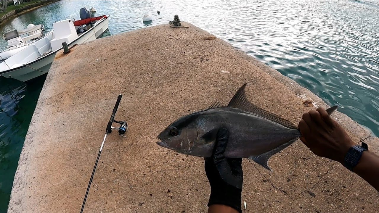 LURE FISHING BERMUDA | scouting spots and landing first almaco Jack on ...