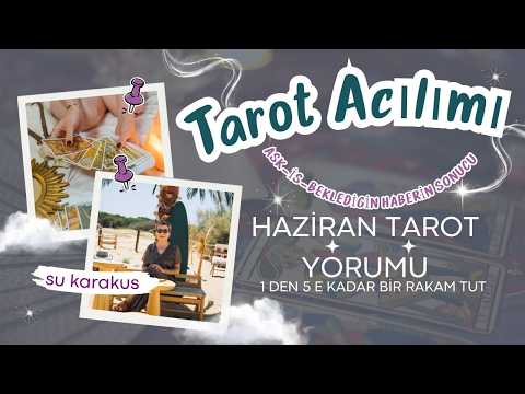 HAZİRAN DA AŞK VE İŞ YAŞAMINDA YENİ BİR SAYFA MI AÇILIYOR?| SU KARAKUŞ