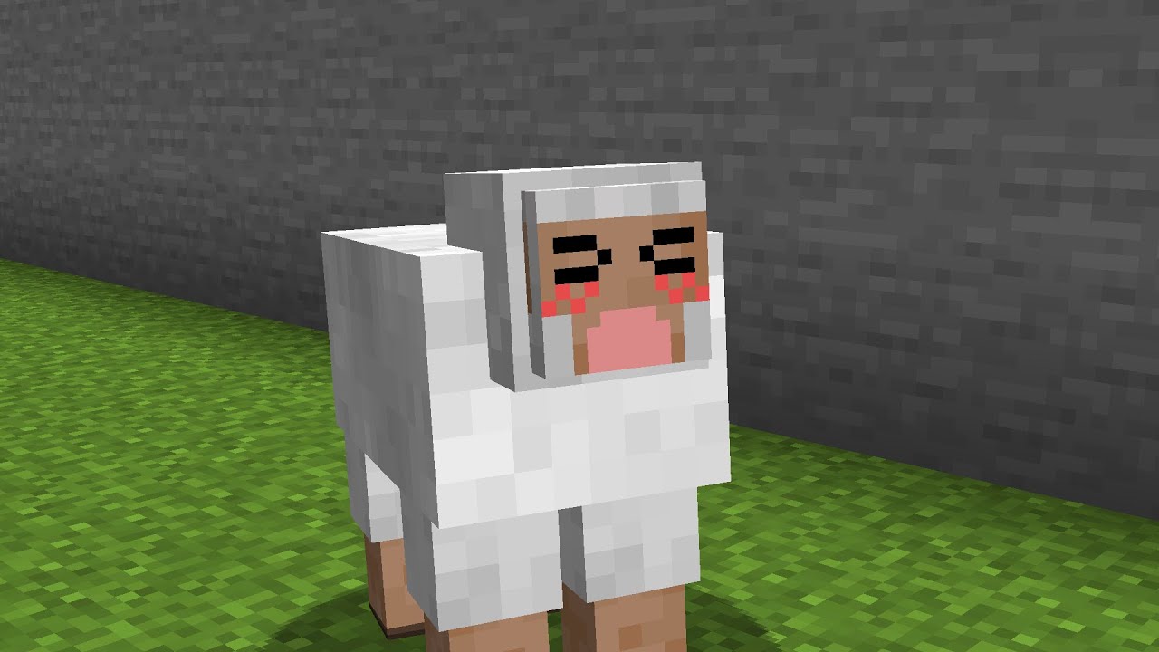 This Minecraft Sheep Is Cursed... - YouTube