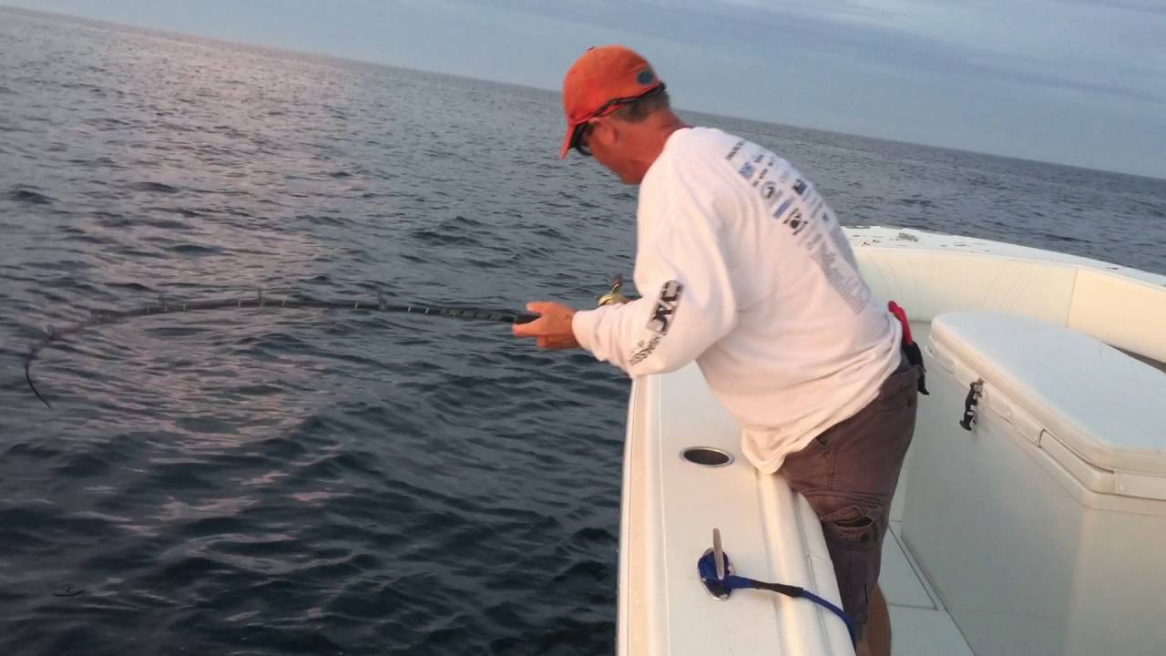 Sailfish Caught on 8 Pound Test Using Shimano Calcutta - YouTube