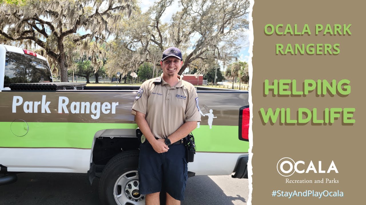 Ocala Park Rangers: Helping Wildlife - #StayandPlayOcala - YouTube