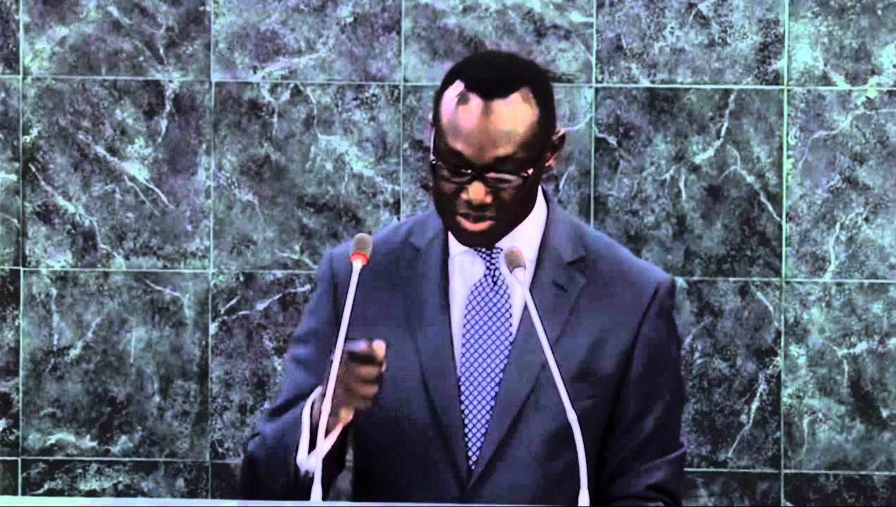 AFFORD @ UN Informal Interactive Hearings on International Migration ...