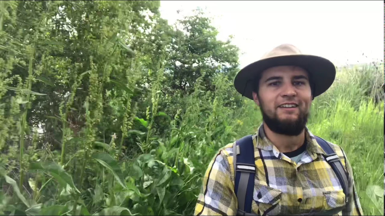 Pineview Reservoir loop (Trail guide) Utah - YouTube