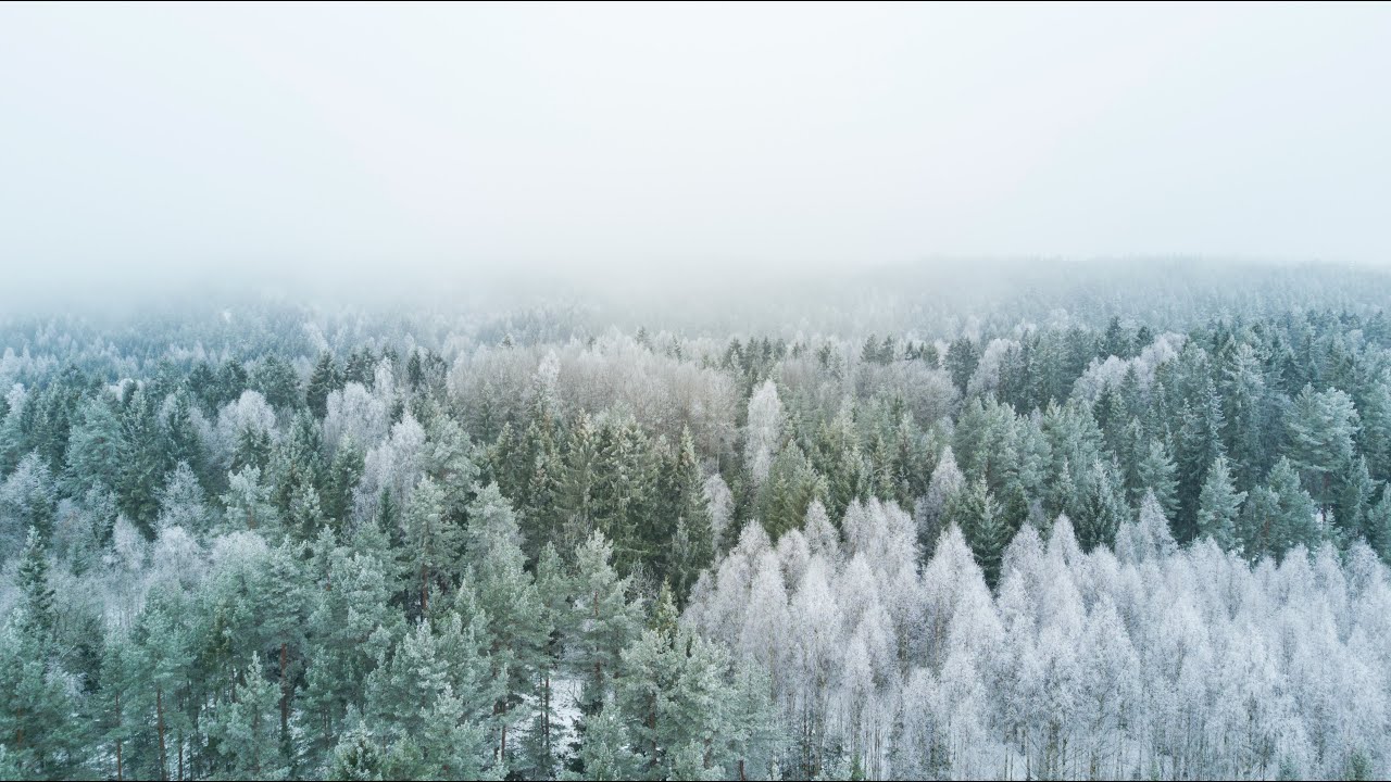 Winter Ambient Sounds | Winter | Soothing Sounds | 1 Hour - YouTube
