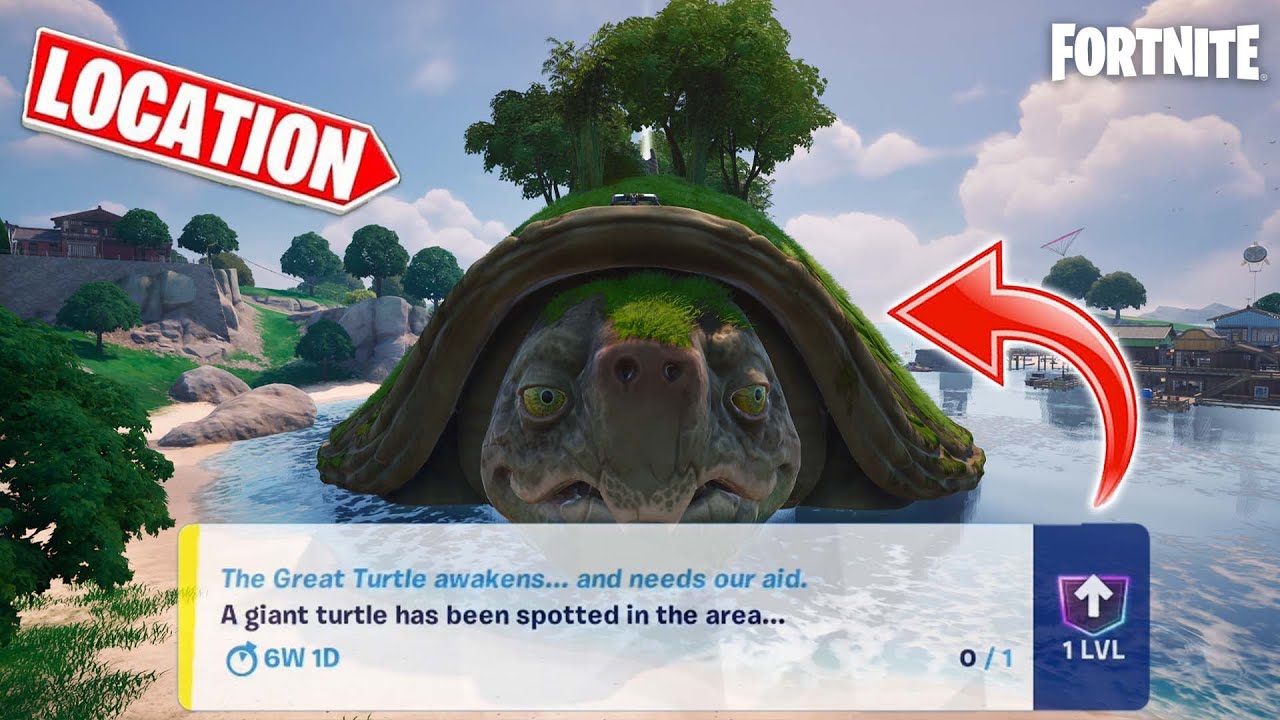 The Great Turtle Location : A giant turtle has been spotted in the area ...