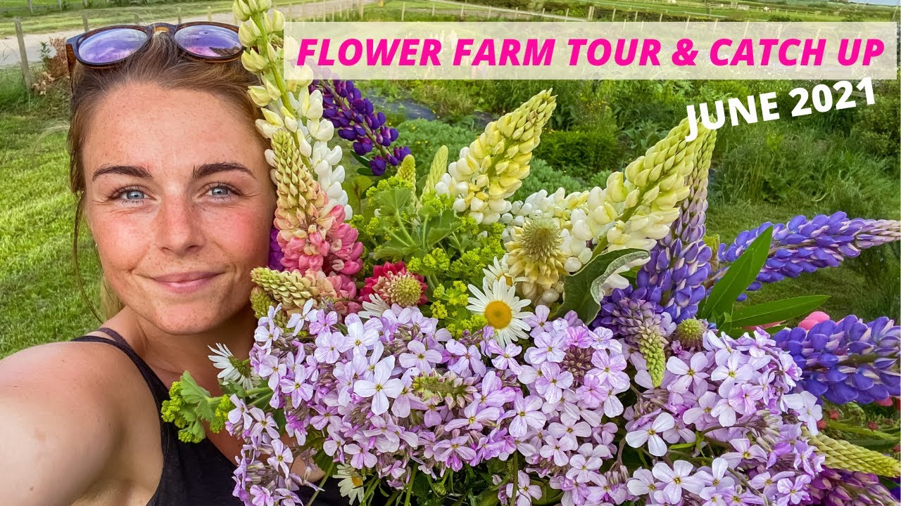 FLOWER FARM TOUR & CATCH UP (JUNE EDITION) - YouTube