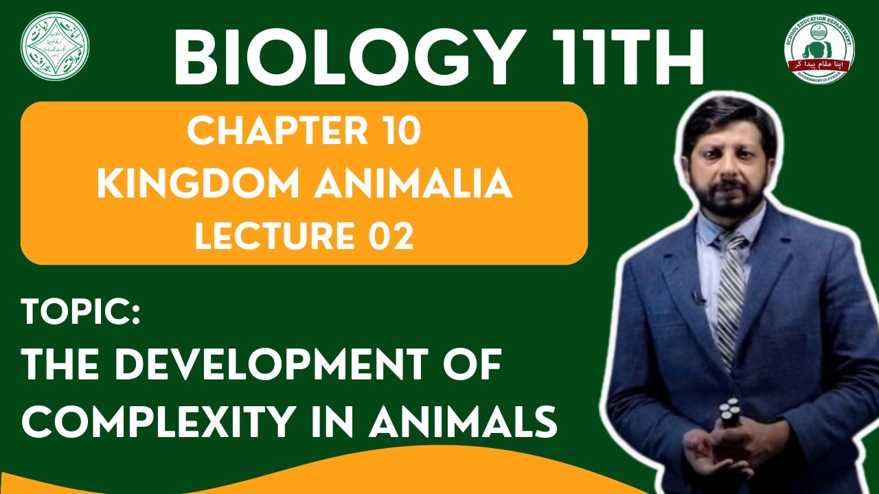 The Development of Complexity in Animals | Grade 11 Biology | LECTURE ...