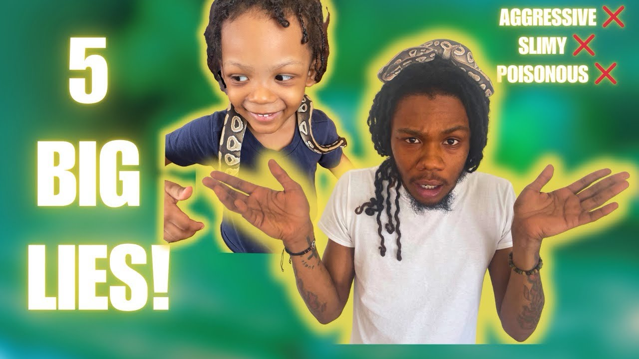 5 Myths About Ball Pythons That Had Me Fooled - YouTube