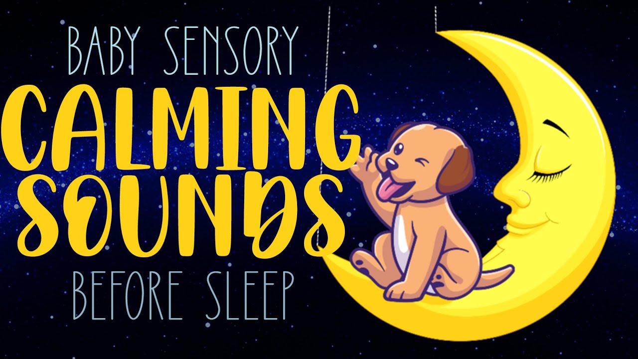 RELAXING ANIMATION WITH SLEEP MUSIC | Soothing Piano Sounds to Help You ...