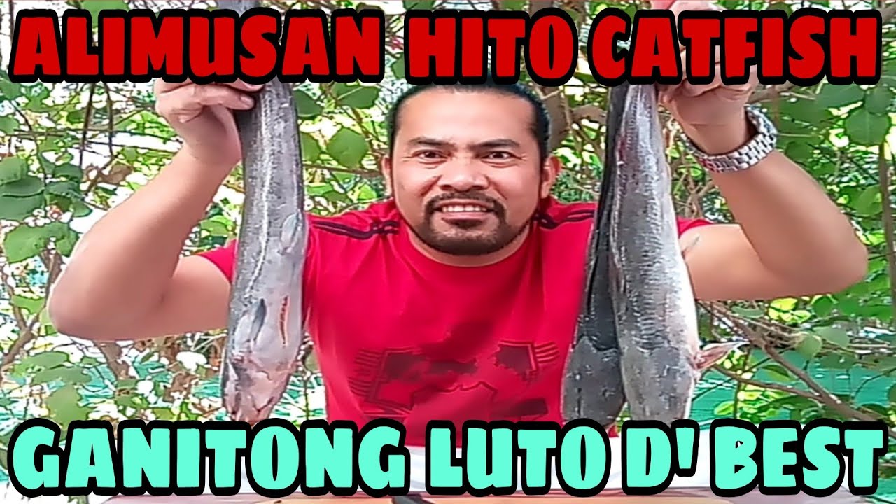 Inihaw na Alimusan o Hito | Grilled Catfish | Vlog100 - YouTube