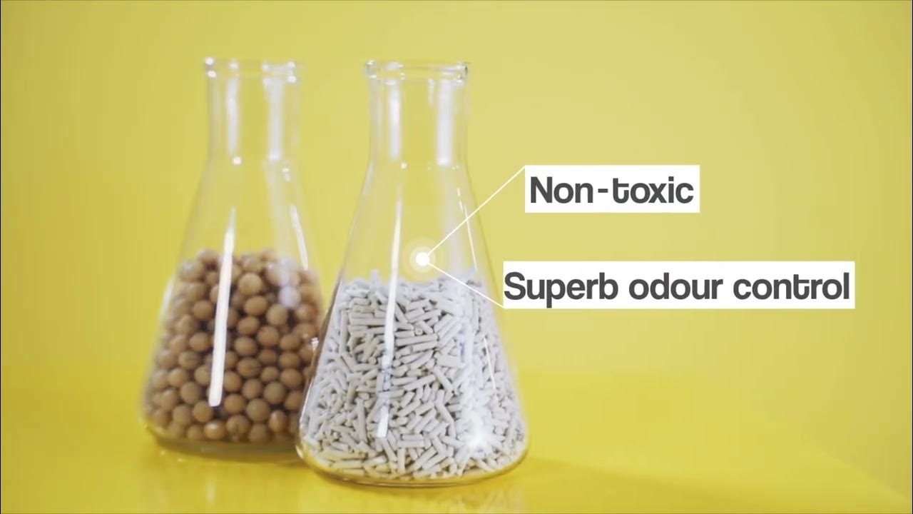 Whats Dofu Cat Tofu Litter Youtube