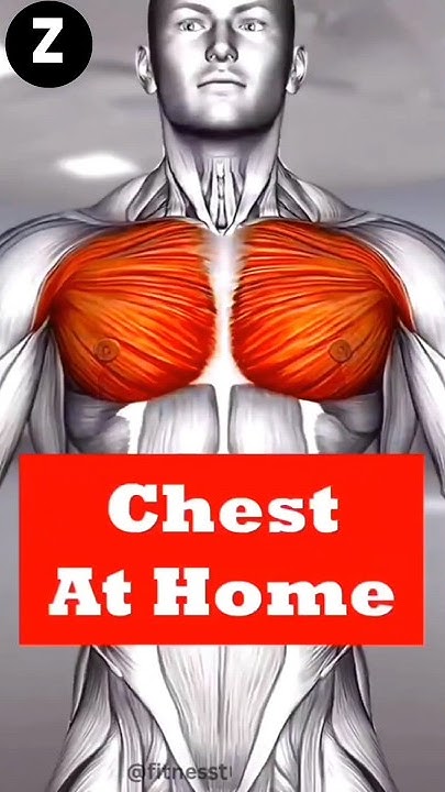 CHEST WORKOUT HOME ROUTINE BODY WEIGHT EXERCISES | ZAMFITNESS - YouTube