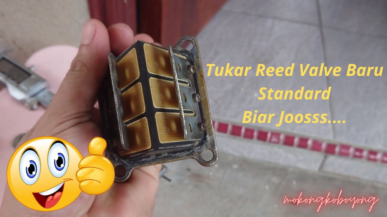 Tukar Reed Valve Yamaha TZM | Service Reed Valve Yamaha TZM | Reed ...