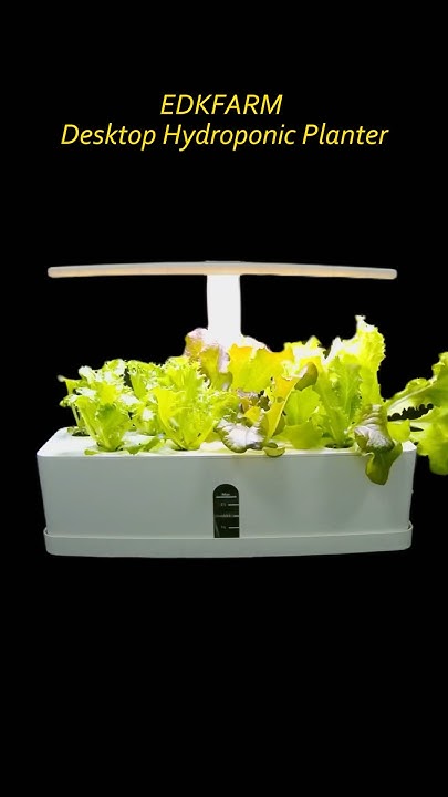 How to use a desktop hydroponic flower pot? | EDKFARMDesktop hydroponic flower#fyp #hydroponics ...