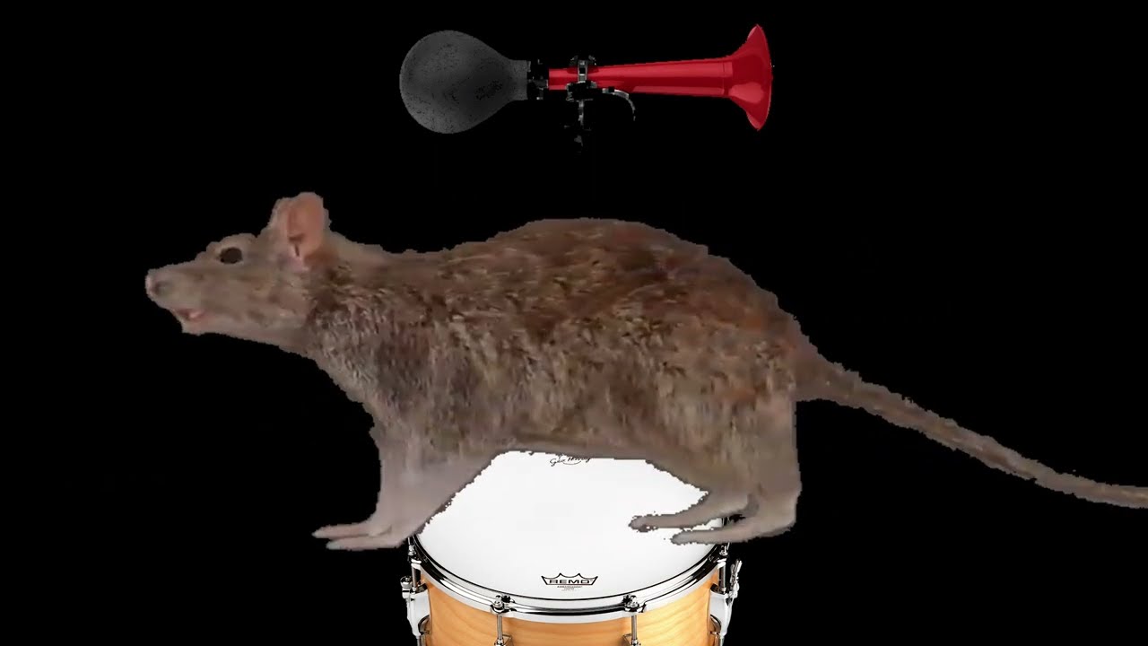 cbat (cRat) - YouTube